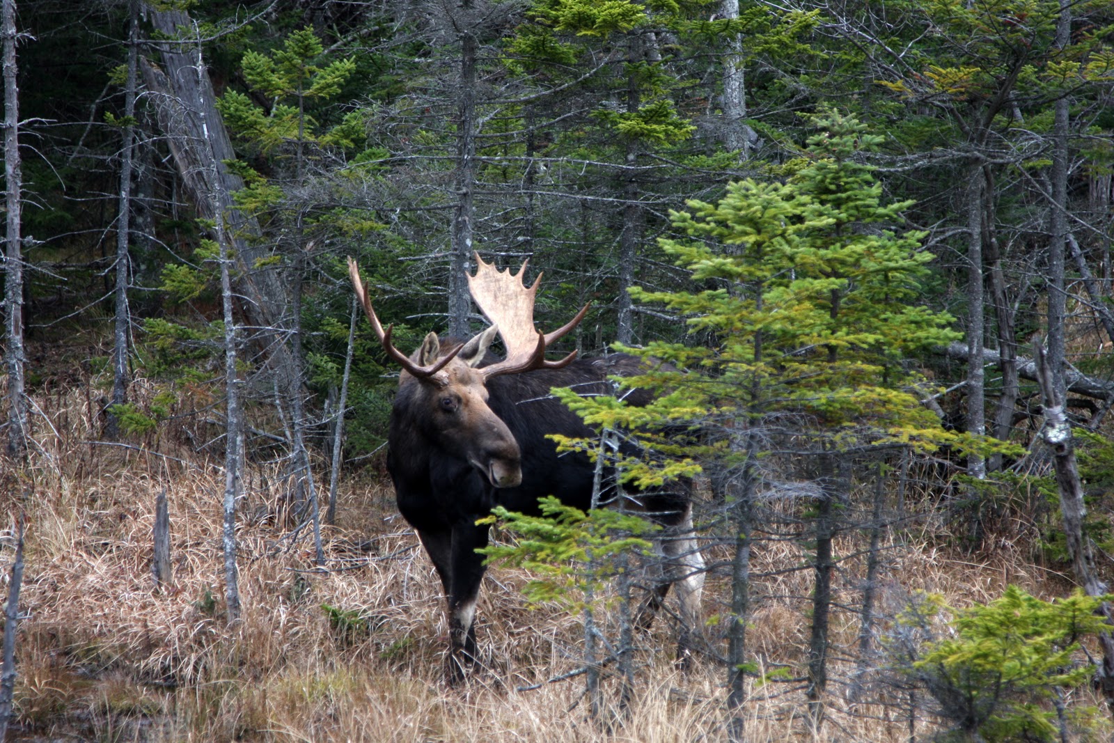 Wherever It Takes: WiTList: Top 11 Photos of 2011