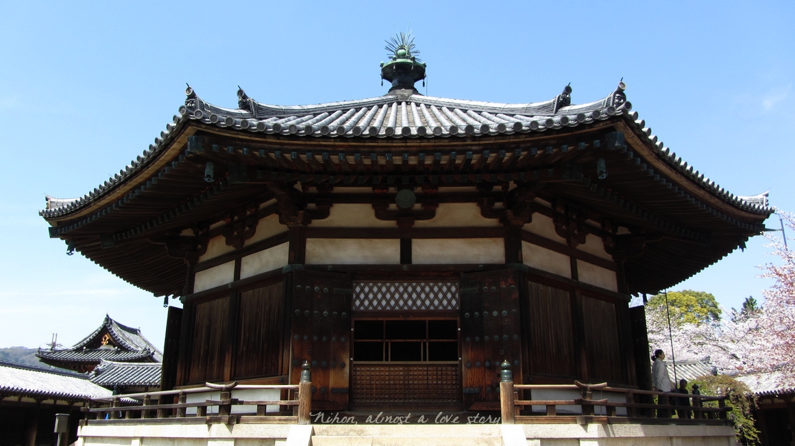 Hanami tour de force | Nihon, almost a love story