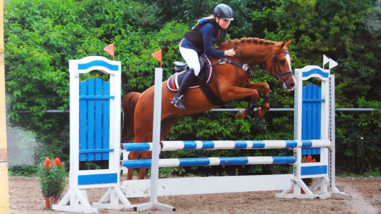 Überwälderhof - Stall Kumpf: Vereinsnews: Turnier in Ladenburg