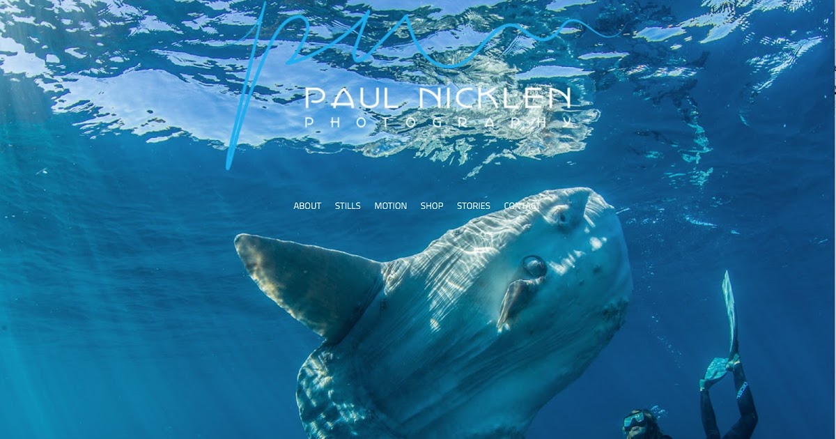 Andreas R. Mueller - Photography: Influential Photographers - Paul Nicklen
