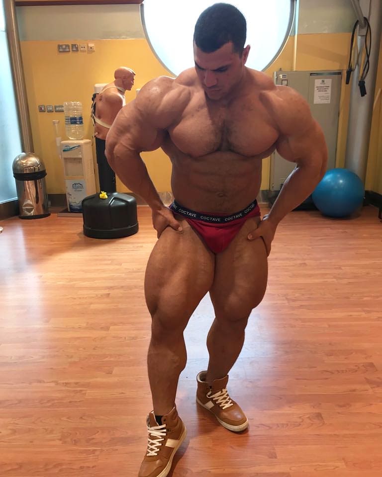 Muscle Lover: Egyptian IFBB Pro bodybuilder Hassan Mostafa (2)