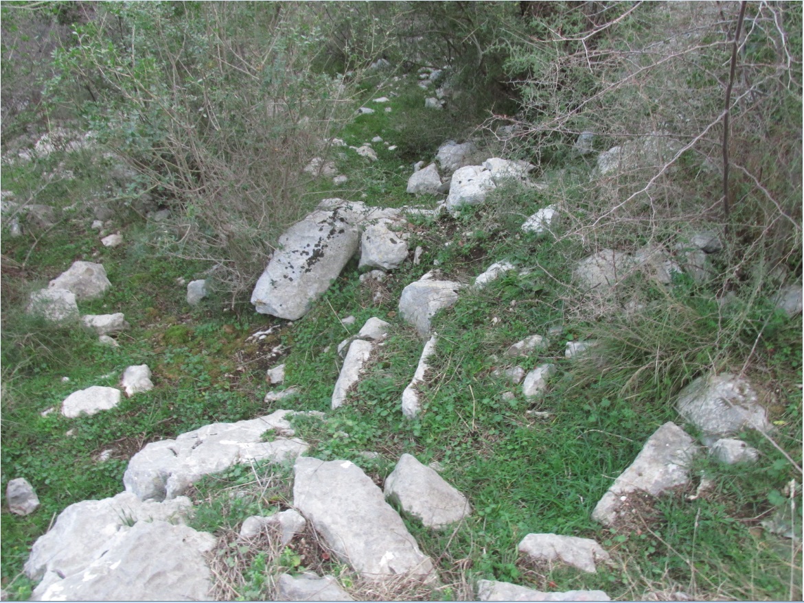 NEVJEROJATNO: OGROMAN ILIRSKO-HELENISTIČKI GRAD DREVNIH DAORSA KRIJE SE ...