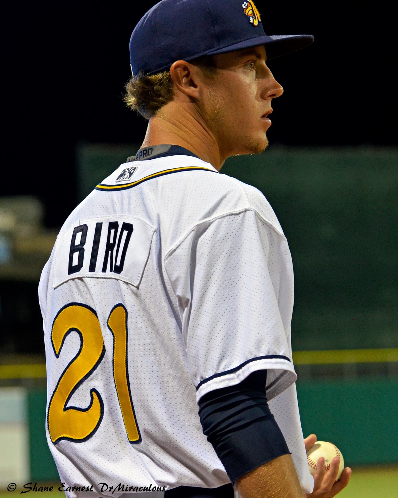 The Montgomery Baseball Blog: The Songs of The Biscuits