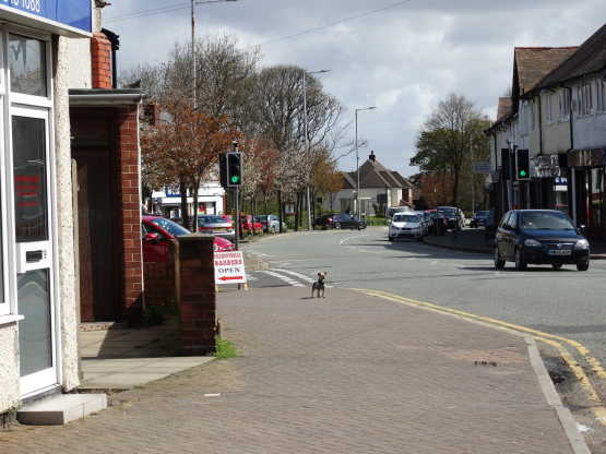 RAMBLES FROM MY CHAIR: Irby- a village on the Wirral