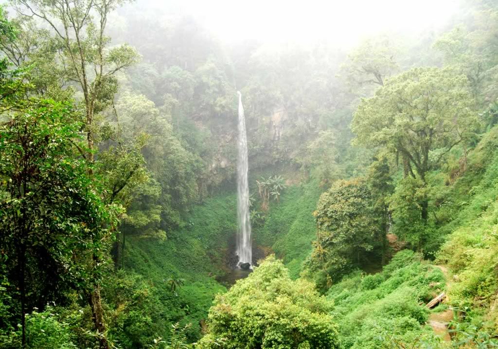 COBAN PELANGI (WATERFALL) - Indonesia Tourism