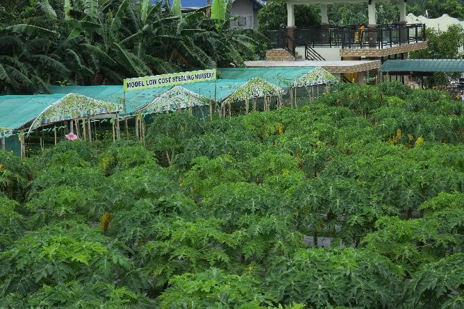 Philippine Farm Tours in Tagaytay & Bulacan - Philippine Flight Network