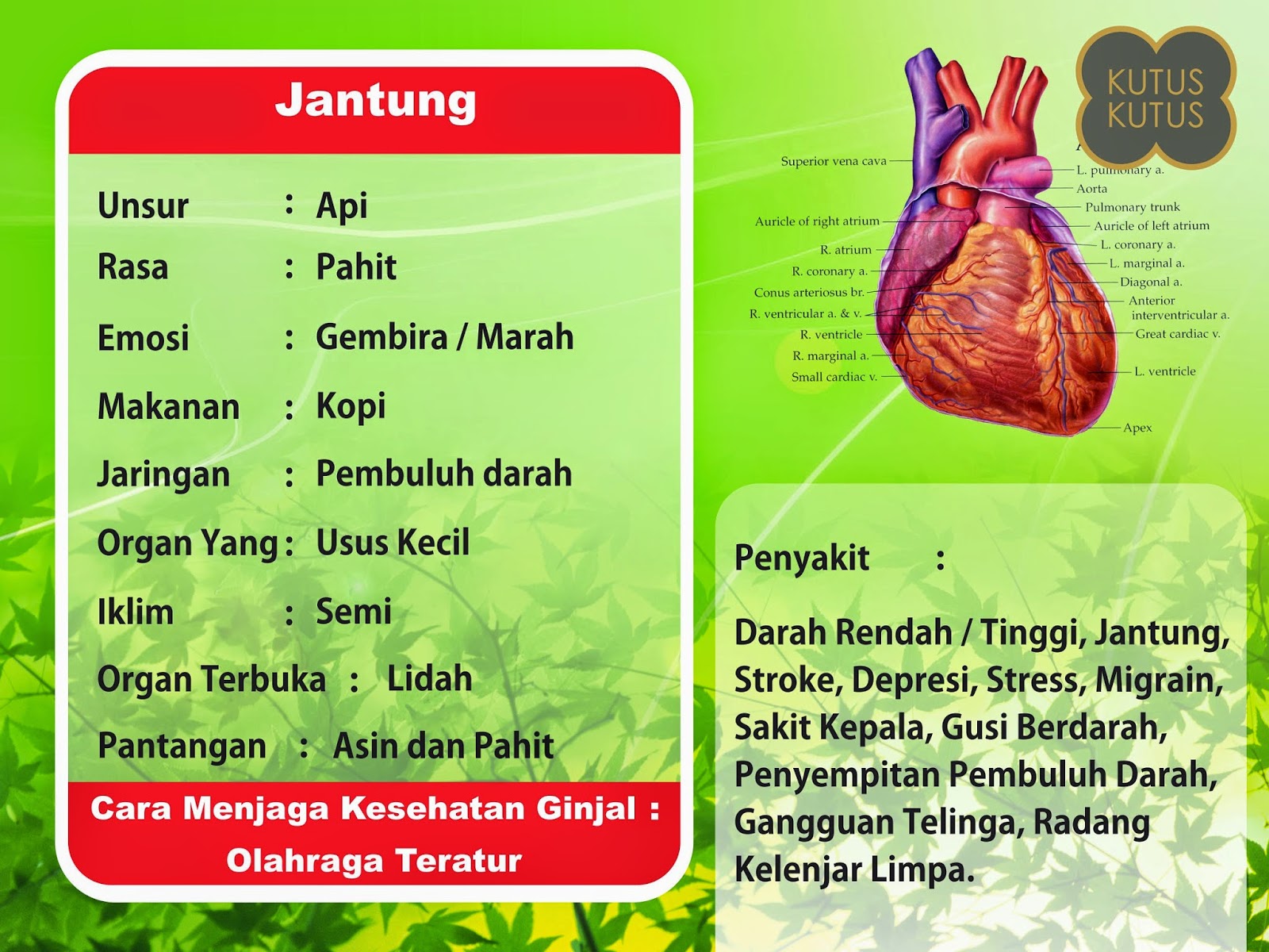 TerapiSakitStroke: Terapi Minyak Kutus Kutus dapat Membantu Proses ...