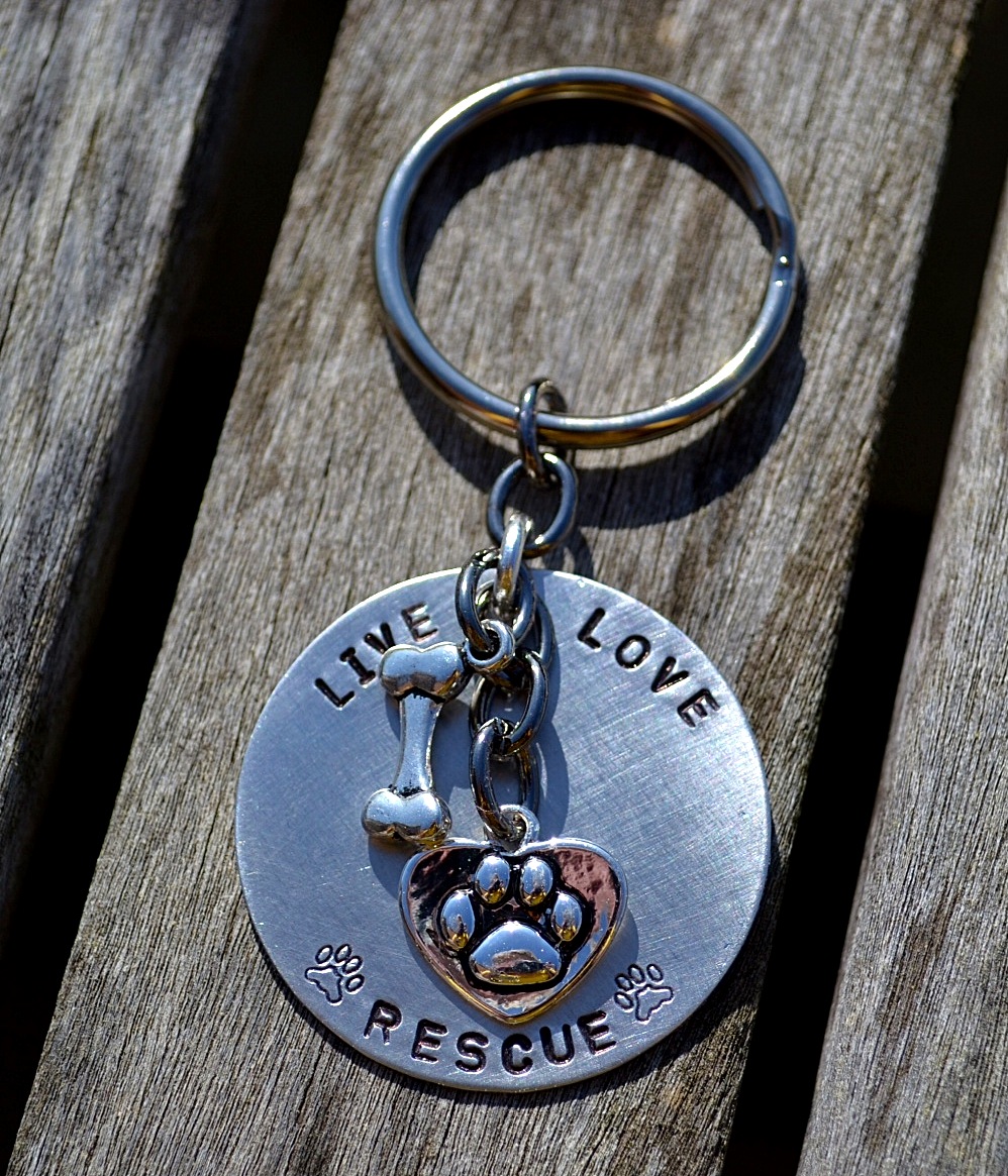 Pawsitively Purrfect