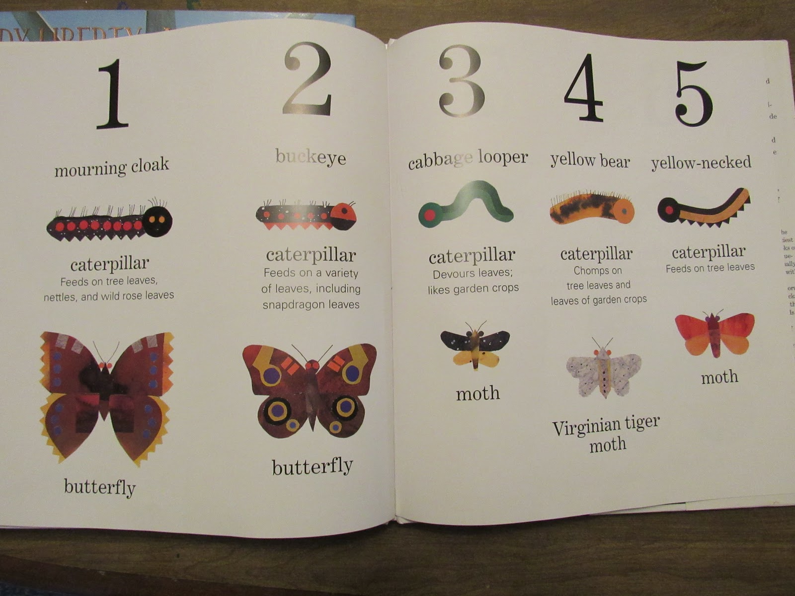 Tots and Me... Growing Up Together: Littles Learning Link Up: May 7 ...