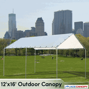 Ace Canopy: Outdoor Canopy, Canopy Tents, Party Tents,Canopy: Outdoor ...
