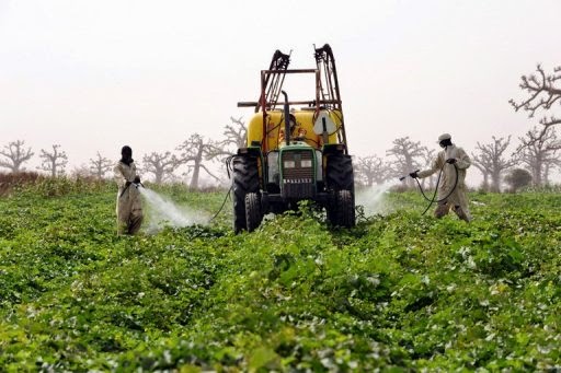 La culture maraichere: la mecanisation de l'agriculture