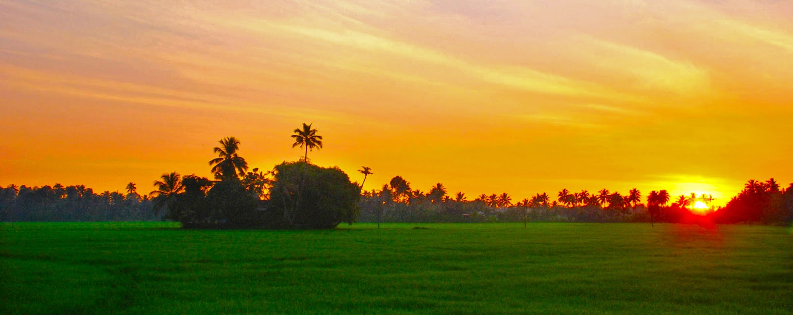Kuttanad - Kerala - India | Travel life journeys