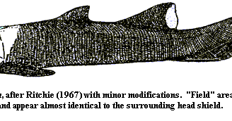 Escenarios prehistóricos: Ateleaspis
