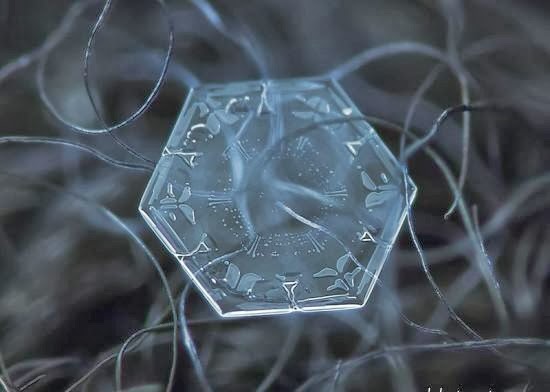 OddFuttos, When The Photos Speak: Have you seen the shape of the ...