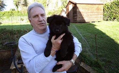 Cornwall, Devon and Dorset Police Dog Section: Police pup Boris says a ...