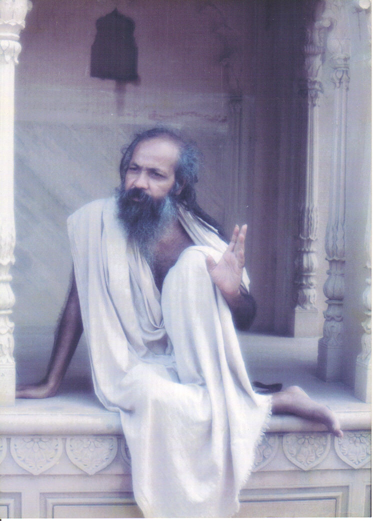 HariHarji: Chapter 33: Arrival in Vrindavan, Introduction to Several ...