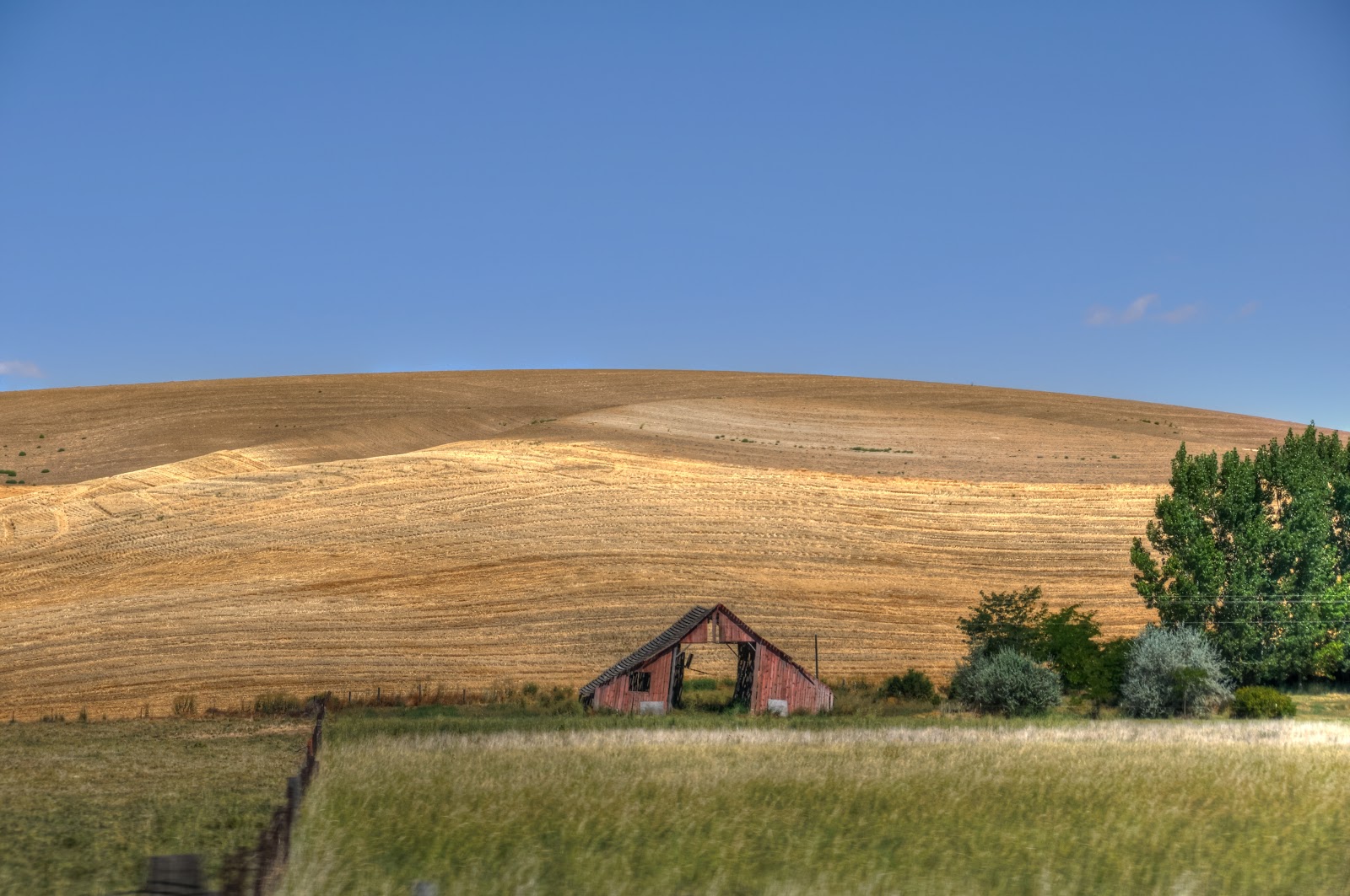 This Life in Ruins: Barn near Dusty, wa
