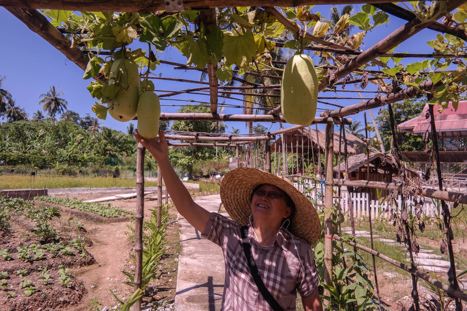 Unique & Original: ♡ Penang Island ♡ Audi Dream Farm