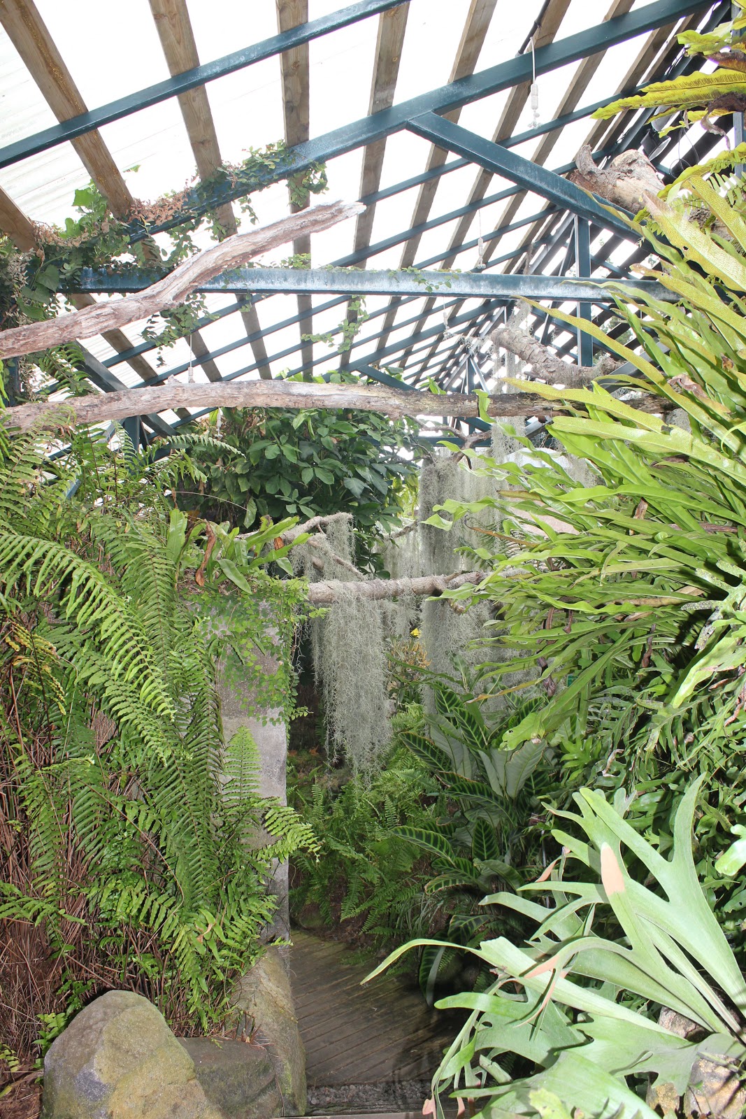 L'île Bourbon: Le conservatoire botanique de Mascarin