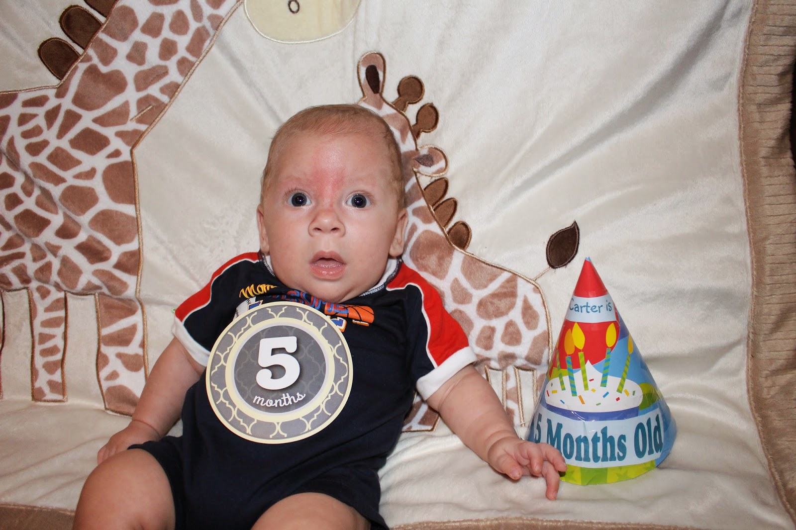 Baby Carter: Happy 5 Months Old Baby Carter
