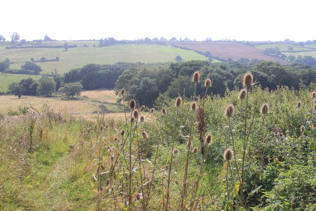 aliwalks : Belton-in-Rutland - Wardley - Ridlington - Belton