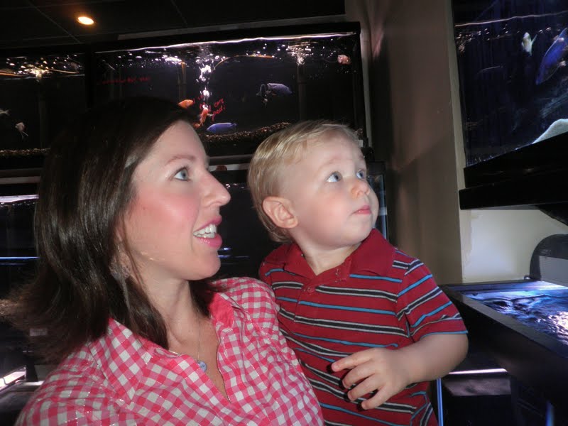 McLain Life: Day 2 With Alicia - Fish Gallery