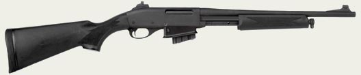 Why haven't we seen a AR mag fed lever gun yet? > Lever Action Rifles ...