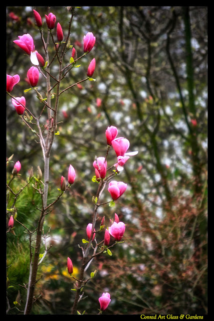 Conrad Art Glass & Gardens: #2 of "The 2017 garden year in review ...