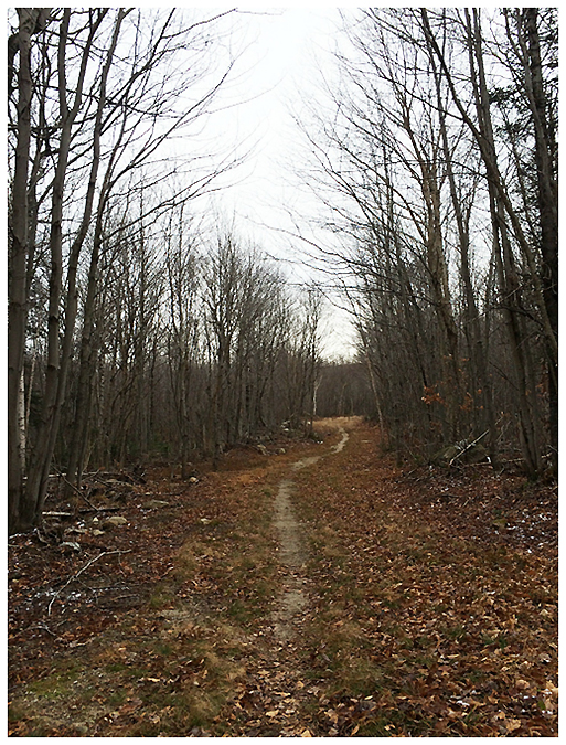 Hiking in the White Mountains: Livermore Pass and the Old Town of ...