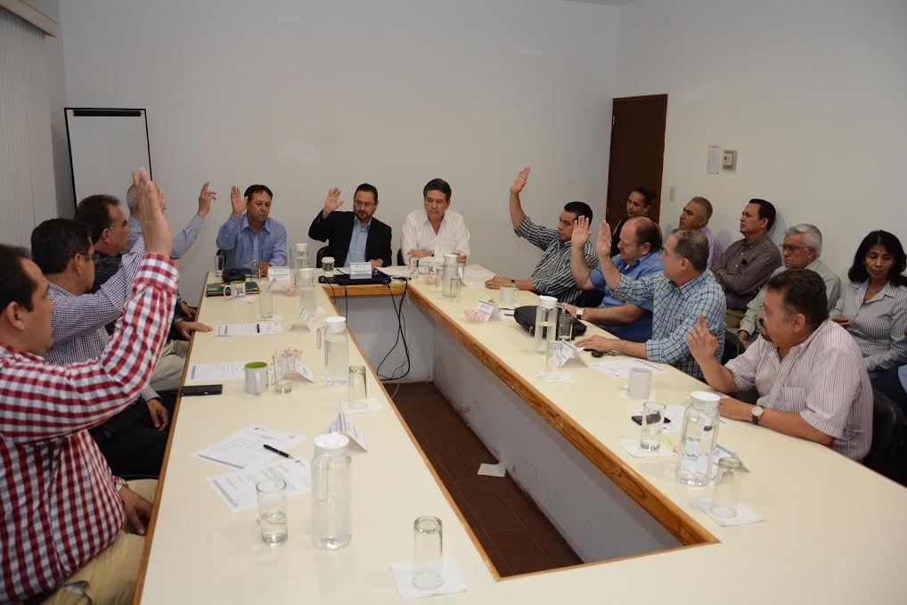 Consejeros del IMPLAN ratifican permanencia de Jorge Avilés Senés ...