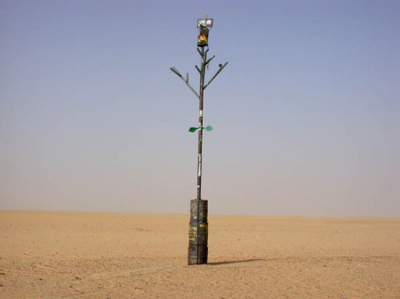 Plantaciones Forestales: El Árbol de Teneré