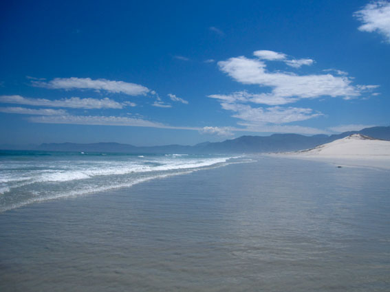 66 Square Feet (Plus): Walker Bay