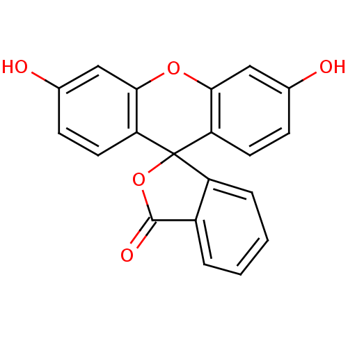 Pharmacology Of Fluorescein