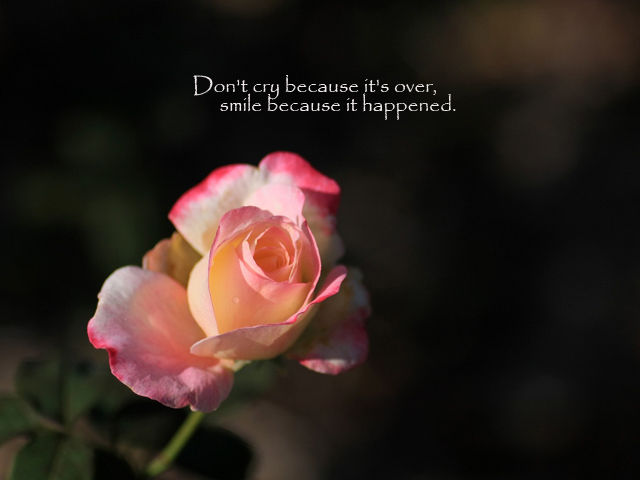 New Wallpapert Of Smile With White Pink Rose, New Smile Wallpaper ...