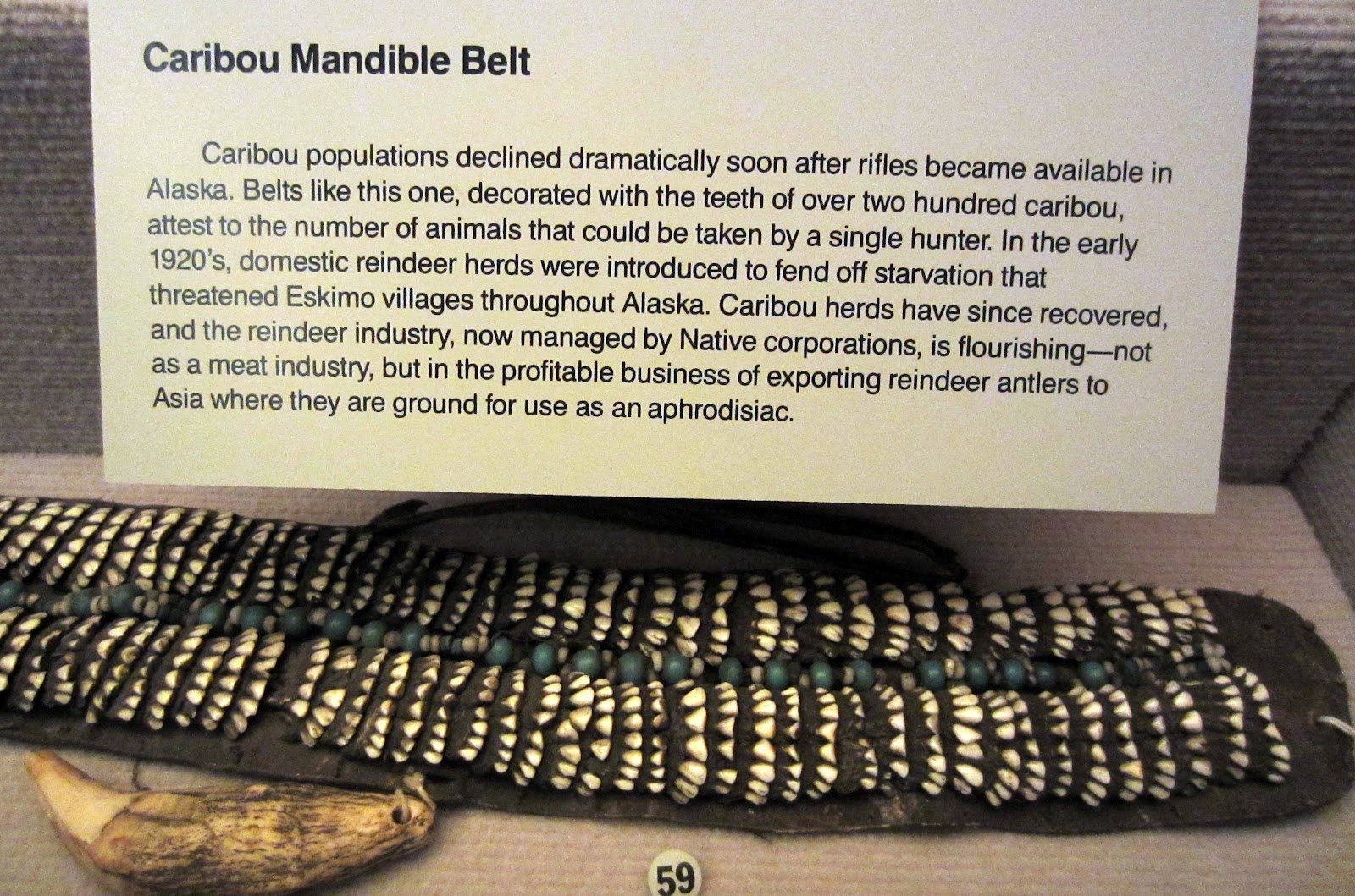 Dina's Travels: Juneau Capitol and State Museum