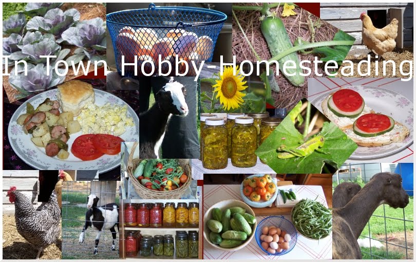 Hobby-Homesteading