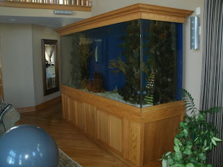 Giant Aquariums: 770 gallon Fish Tank - $8500 (Palos Heights)