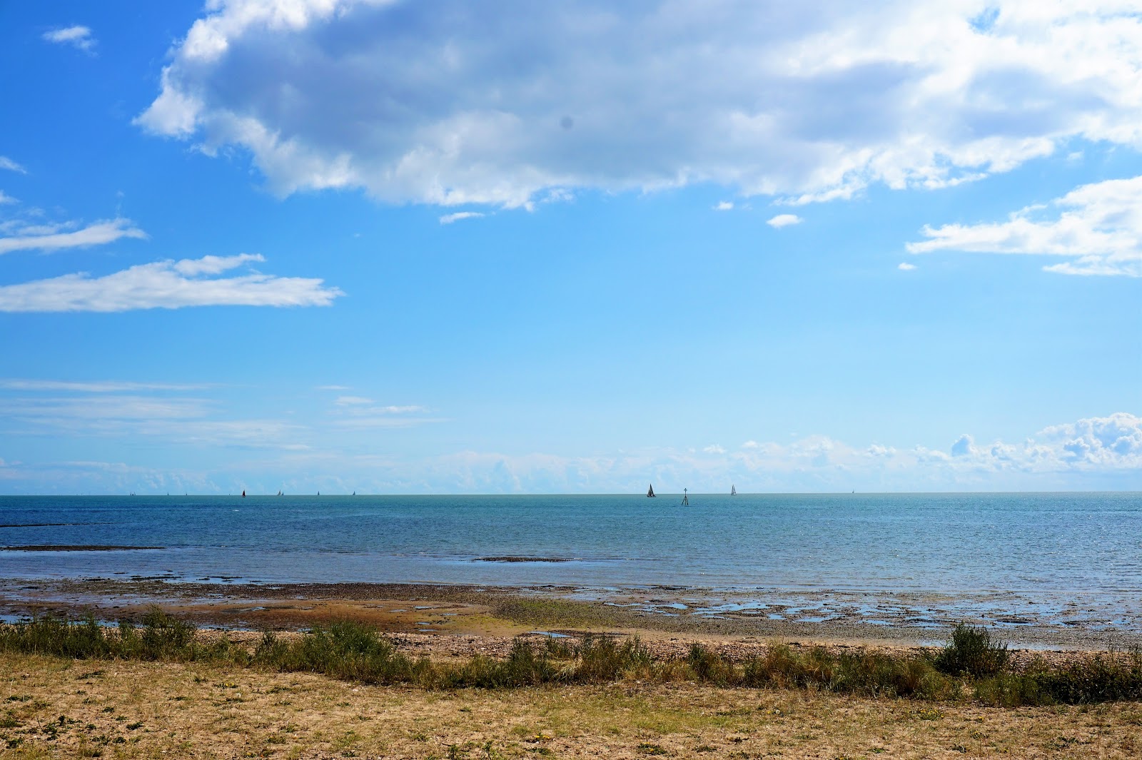 A DAY TRIP TO MERSEA ISLAND | being erica