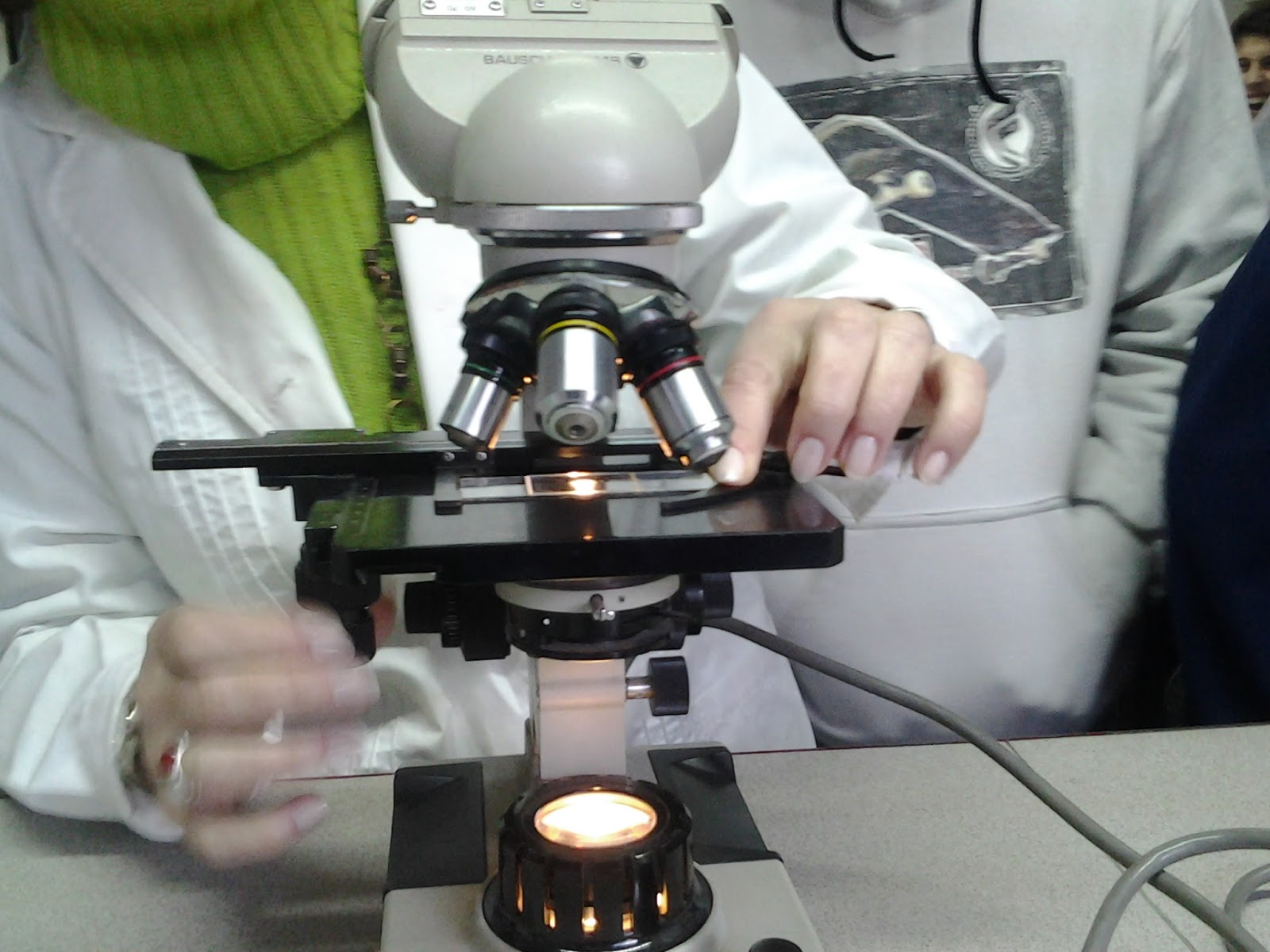 biología, genética y sociedad C.A: TRABAJO PRÁCTICO: EXTRACCÍON DE ADN