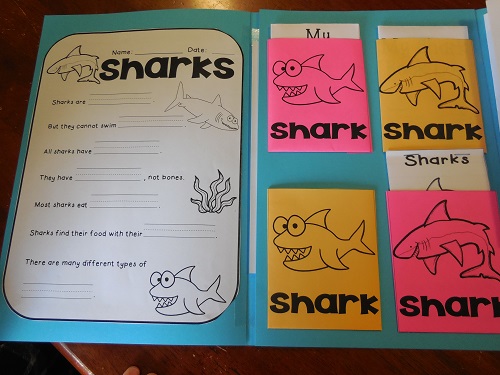 The Paper Maid: A Shark Lapbook