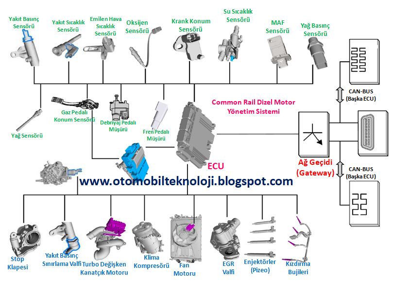 Gateway Nedir? CAN BUS Sisteminde Gateway Ağ Geçidinin Görevi Çalışması