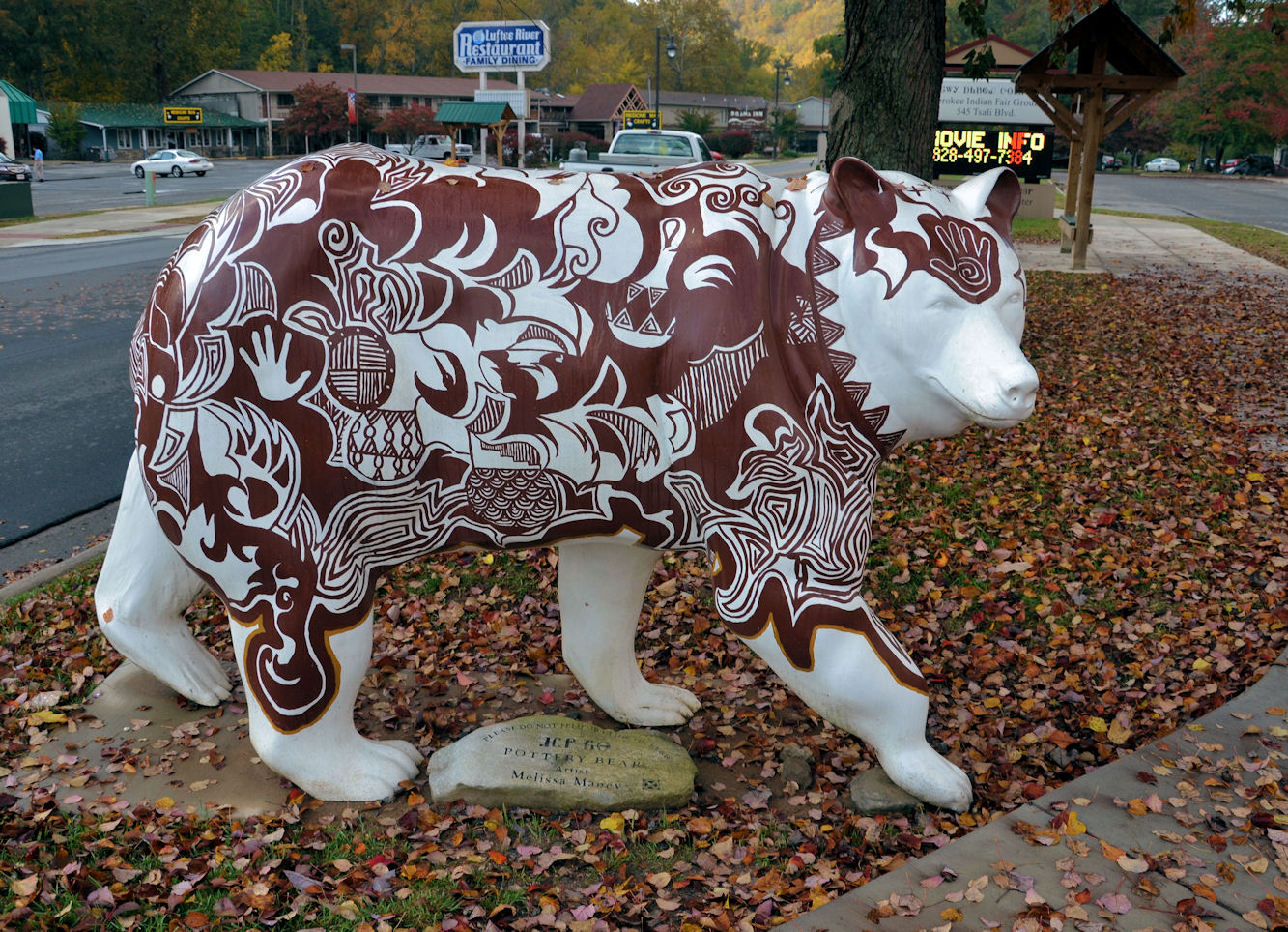 Sleepless in Gainesville: Cherokee Bear project ....