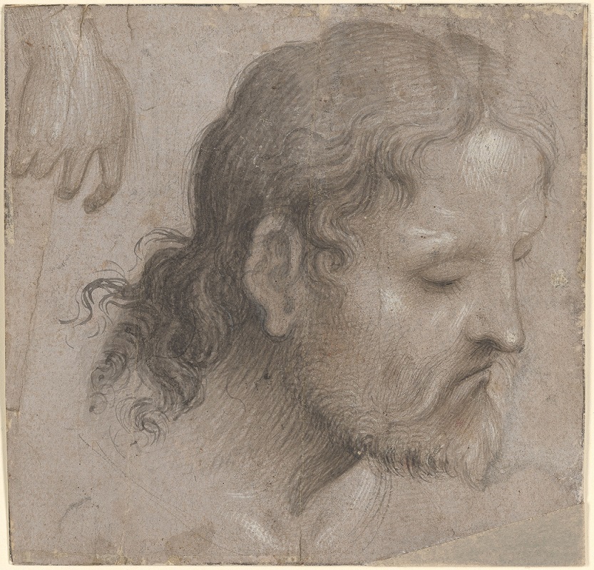 Art Eyewitness: Italian Renaissance Drawing at the Morgan Library and ...