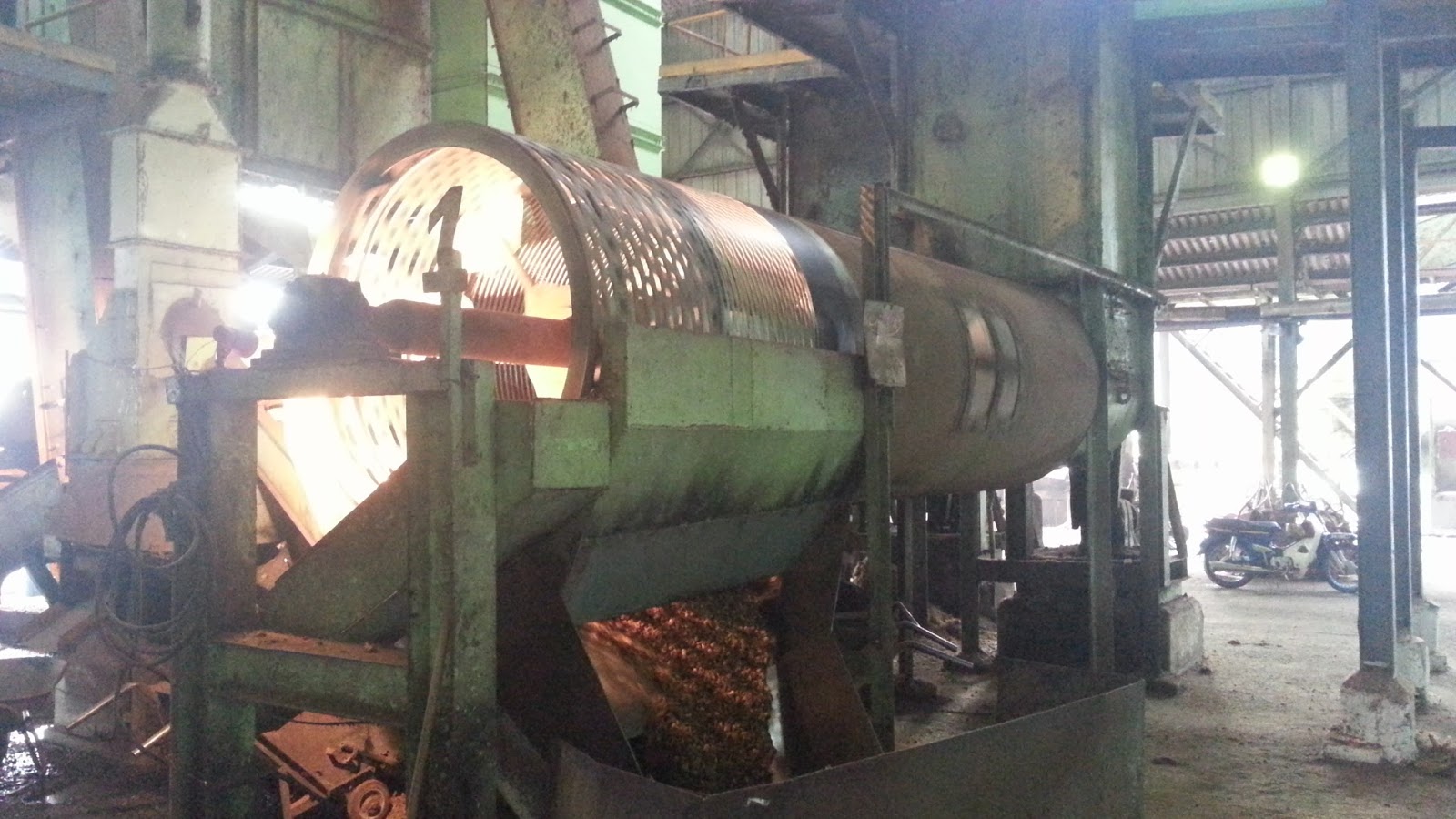 Sharing station: Depericarping station / nut and kernel plant