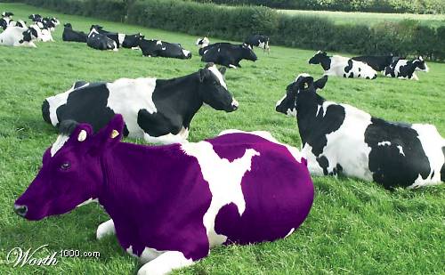 I Like The Cut Of His Jib !!: Purple Cows in the Information Warfare ...