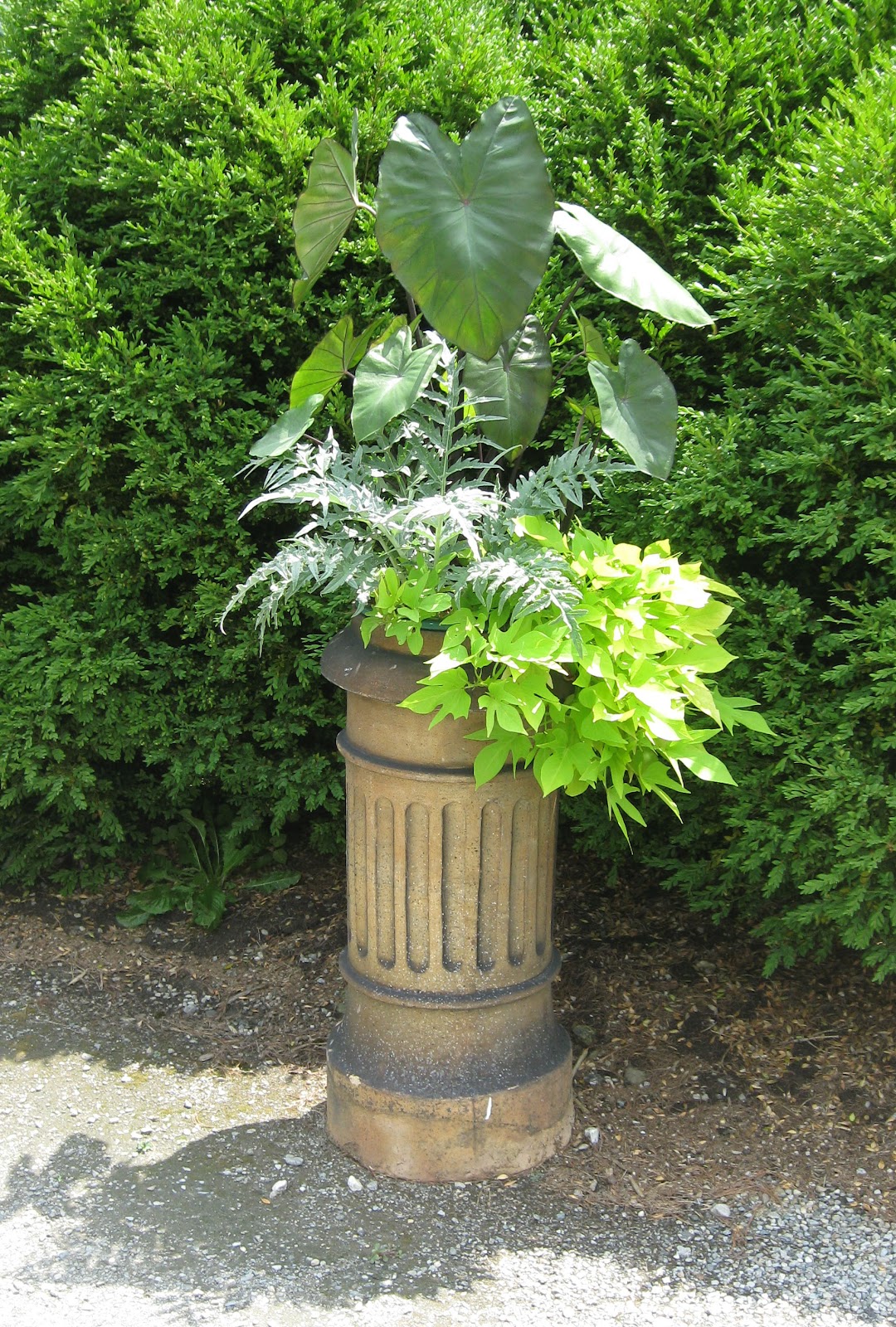 flower flinging: Potted Inspiration