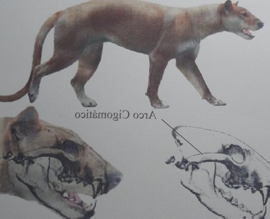 Noticias de Paleontologia: Callistoe vincei, un peculiar depredador del ...