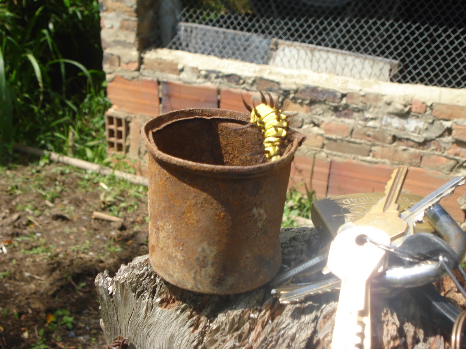 DOCENTEAGRO: noviembre 2014