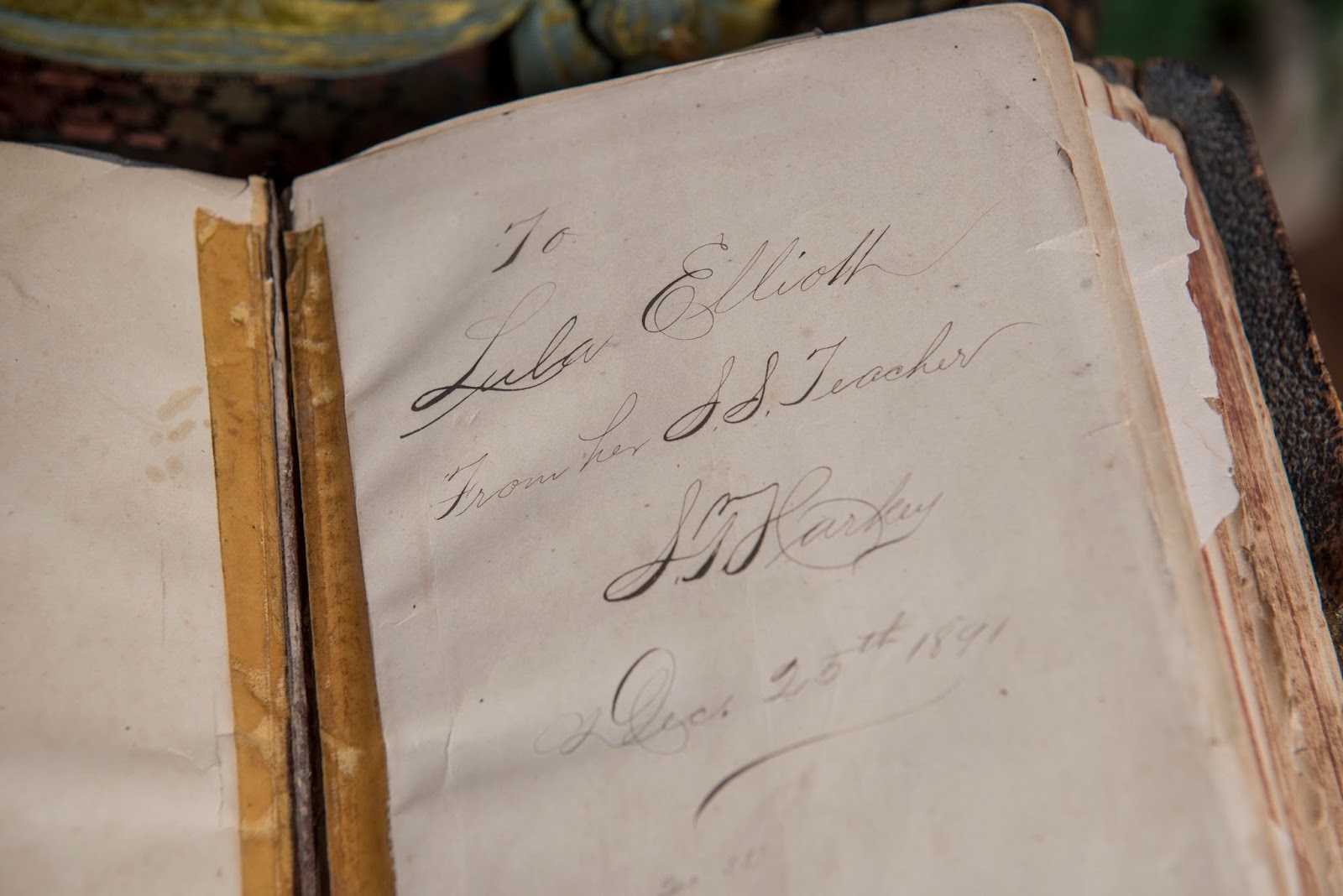 Las Vegas Commercial Photographer Jacob Kepler: UFC Fighter by Las ...