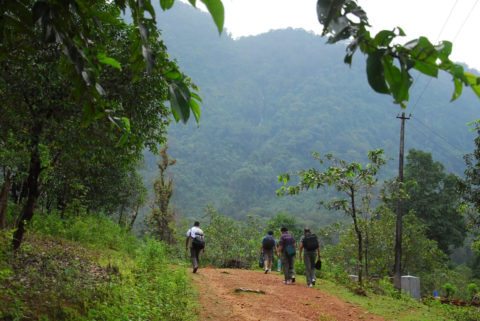 VISWANATH S: SEETHANADI-HEBRI-2013